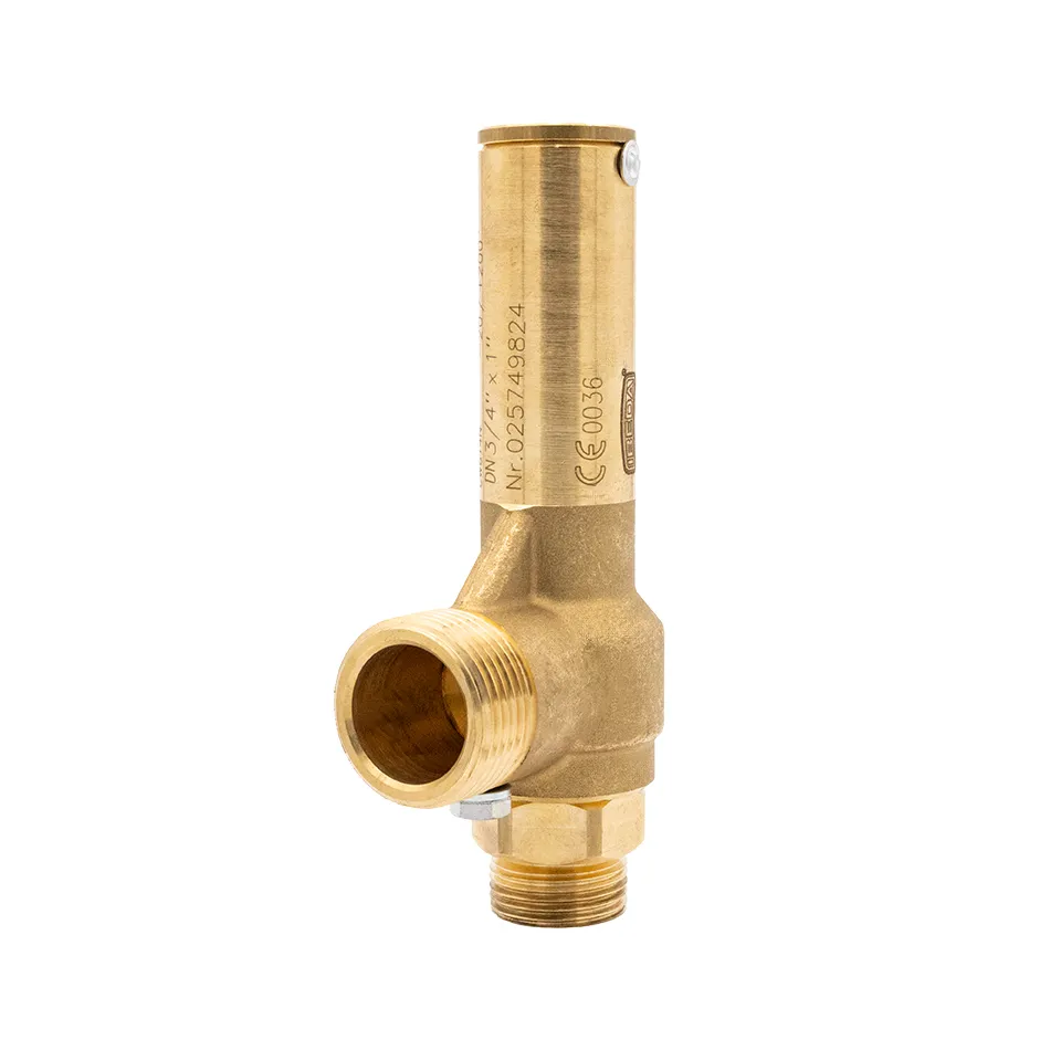 Safety Relief Valve MS-FKM G14/S G3/4 Male 16bar | Bulgin Group
